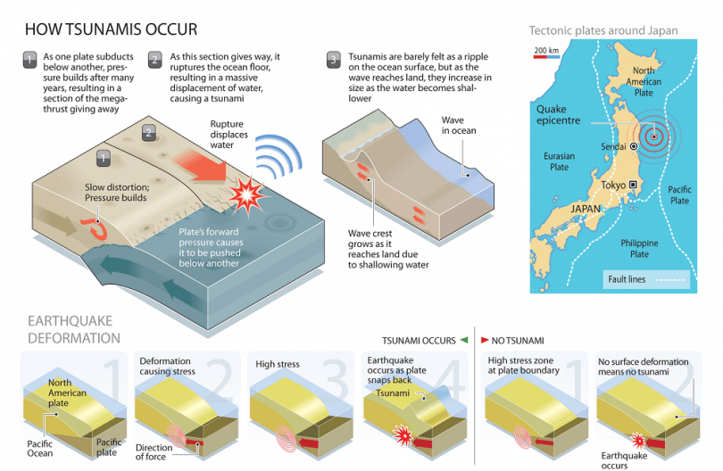 How to Survive a Tsunami: Important Tips From Exerts and Preppers