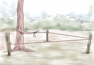 How to Make Booby Traps: Homemade Options + Traps for Animals