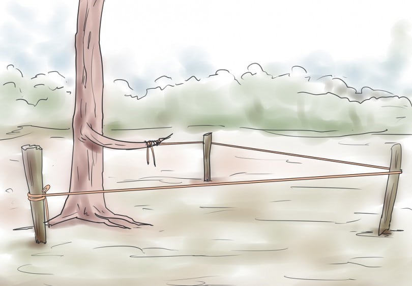 How to Make Booby Traps: Homemade Options + Traps for Animals