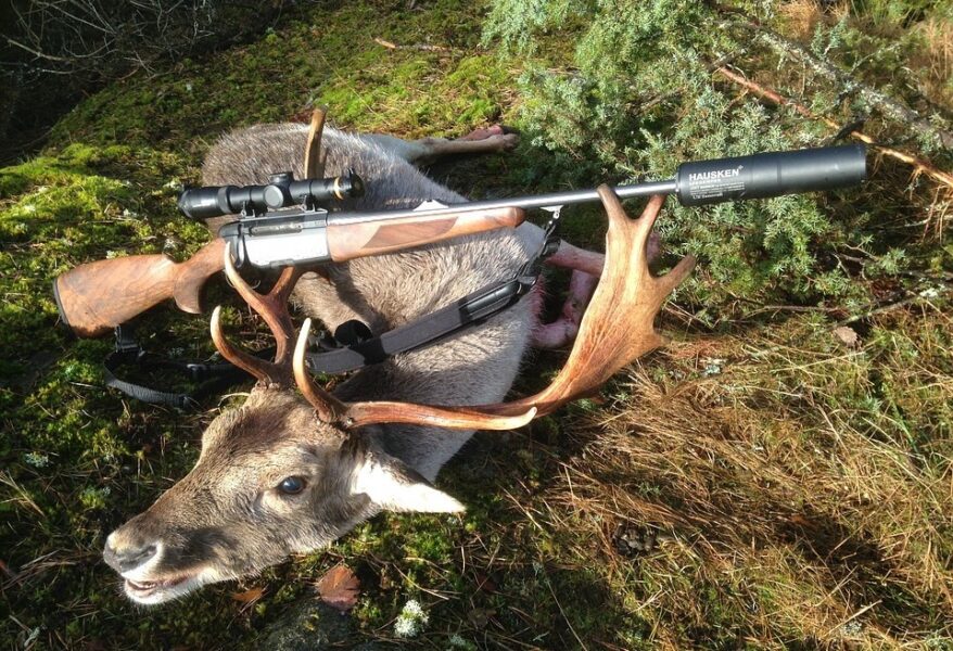 The Best Deer Rifle: Weapons Overwiev For The Hunter In You