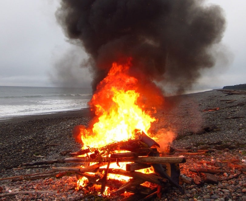 Wilderness First Aid: How to Treat Common Injuries And Request Help