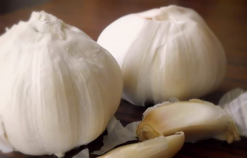 Home Remedies for Ear Infection: Simple Self-Treatment And Care