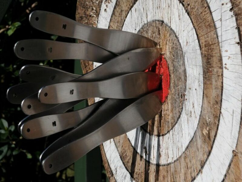 Best Throwing Knives: Choosing High Quality Weapons