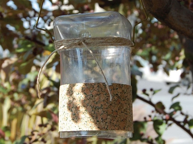 Homemade Insect Pitfall Trap