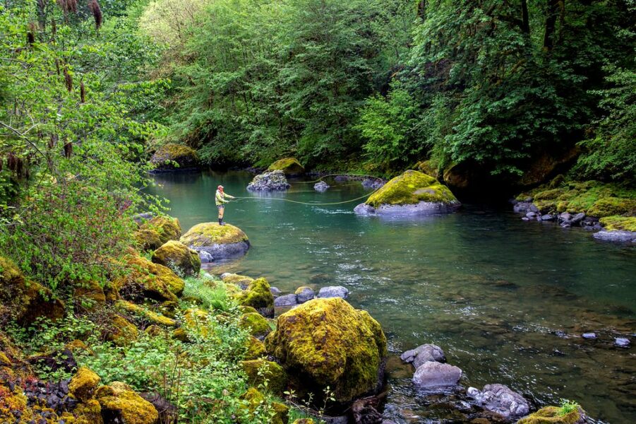 Best River Fishing Tips and Tricks: Complete Guide