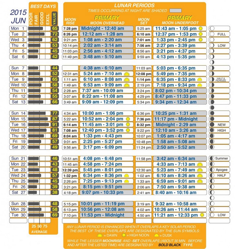 Best Hunting Times: Timing The Great Hunt