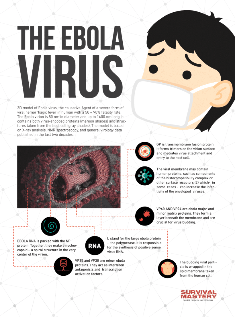 The Ebola Virus: Virus Origin, Transmission, Symptoms and Recovery