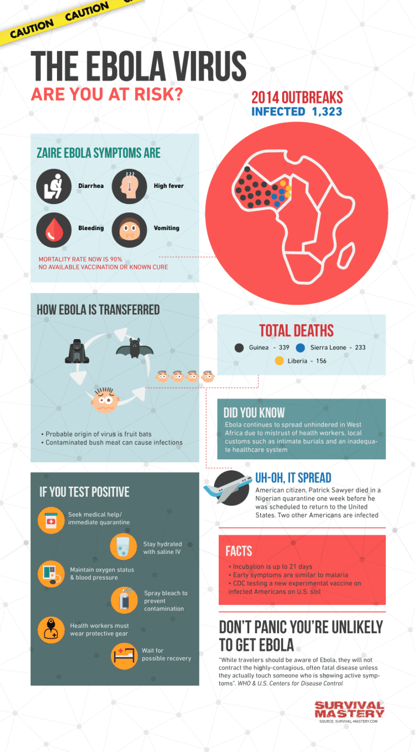 The Ebola Virus: Virus Origin, Transmission, Symptoms and Recovery