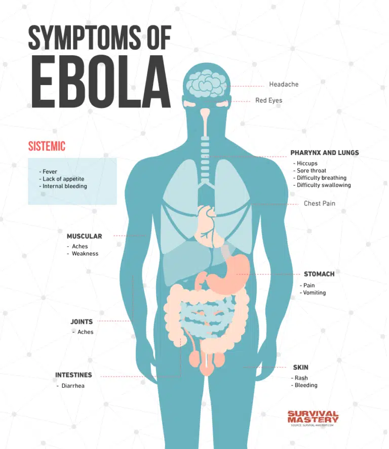 The Ebola Virus: Virus Origin, Transmission, Symptoms and Recovery