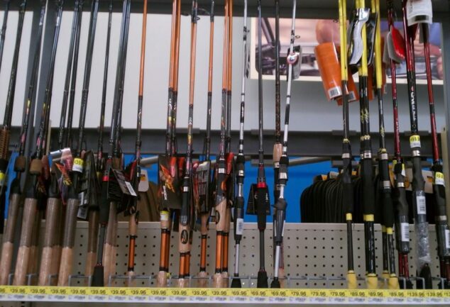 Types of Fishing Rods: An in-Depth look into Selecting The Best Fishing Rod
