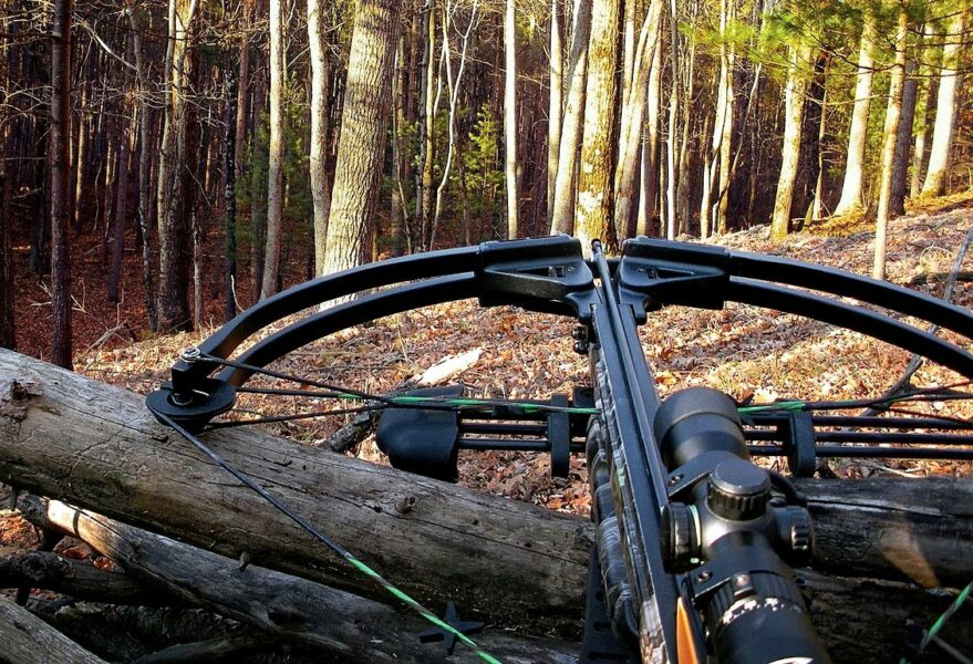 Best Hunting Crossbow: Top Products on The Market Overview