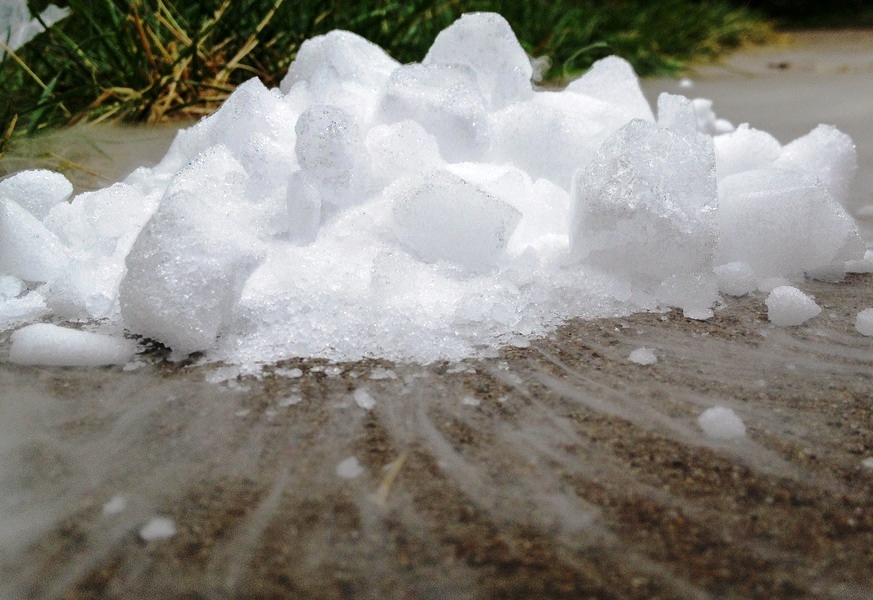 High Calorie Vegetables and Fruits: Top List + How to Preserve Them