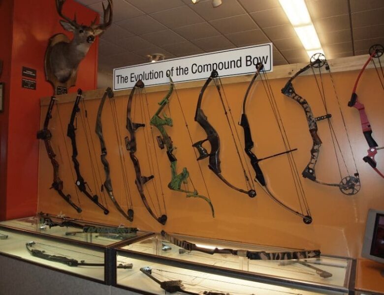 Best Compound Bow: Basics, Facts, Tips and Best Reviews