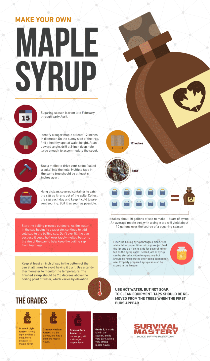 How to Make Sugar: Surviving Out in Nature