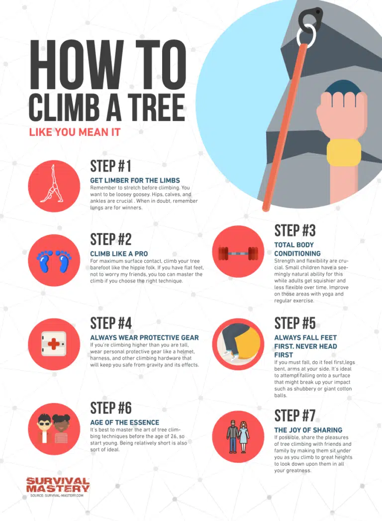 How To Climb A Tree: Different Methods for A Demanding Activity