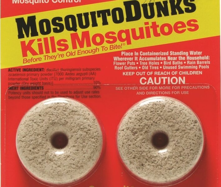 Best Insect Repellent: So The Bugs Don't Bite!