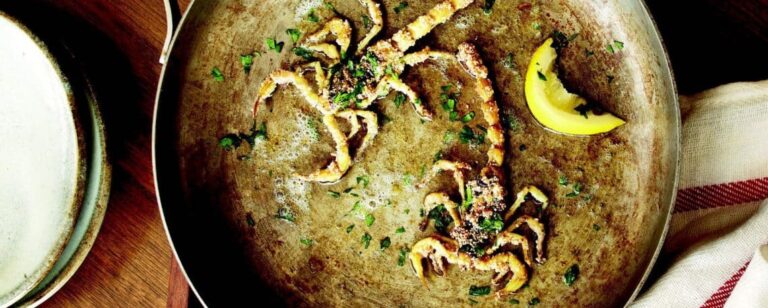 Eating Scorpions: Survival Food or Survival of The Planet