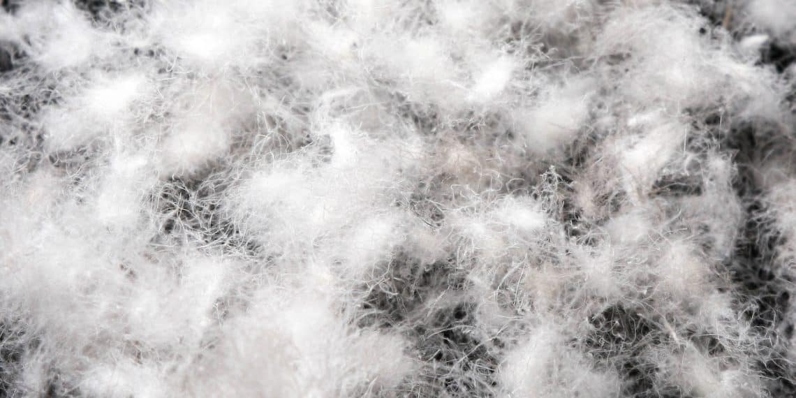 PrimaLoft vs Down: The Great Insulation Material Compassion